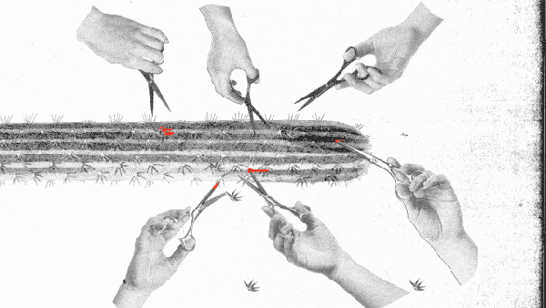 More Is Less GIFs - Get the best GIF on GIPHY