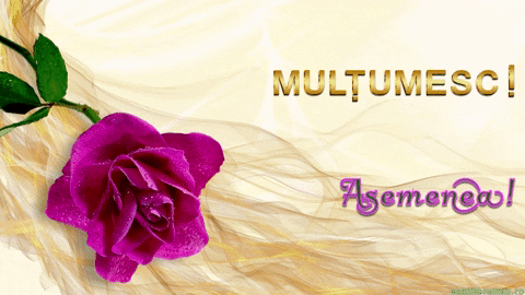 Multumesc-asemenea GIFs - Get the best GIF on GIPHY