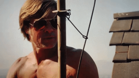 Cliff-booth-wtf-was-that GIFs - Get the best GIF on GIPHY