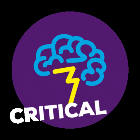 International School of Curitiba GIF - Find & Share on GIPHY