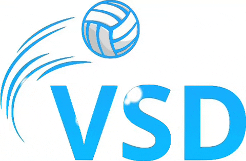 Vsd GIFs - Get the best GIF on GIPHY