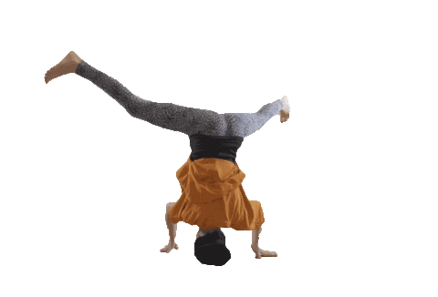 Breakdancing Bear Gif