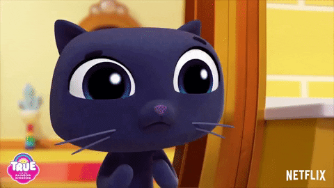 Surprised Kitten Gif