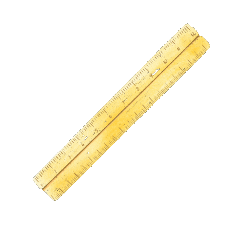 School Ruler Sticker for iOS & Android | GIPHY