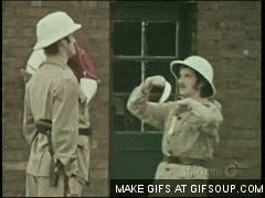 Monty-python-fish GIFs - Get the best GIF on GIPHY