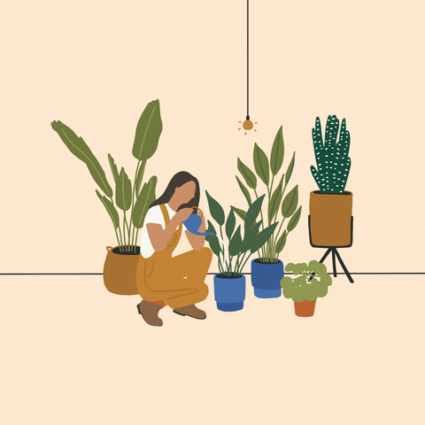 Plant GIF - Find & Share on GIPHY