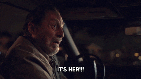 Feral Mongoose GIFs - Get the best GIF on GIPHY