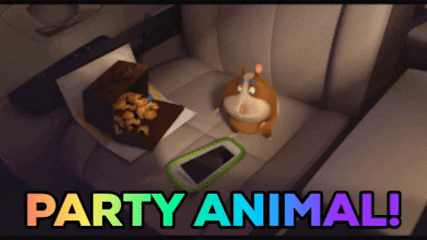 Party-hamster GIFs - Get the best GIF on GIPHY