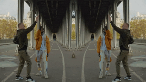 France Party GIF by RCA Records UK - Find & Share on GIPHY