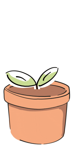 Flower Growing Gif