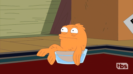 By American Dad Find And Share On Giphy