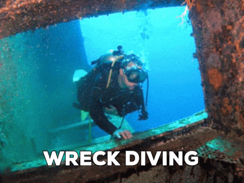 Wreck Diving GIFs - Get the best GIF on GIPHY