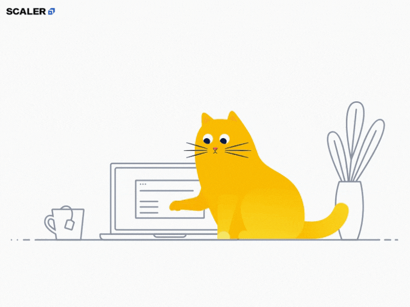Cat Love GIF by Scaler - Find & Share on GIPHY