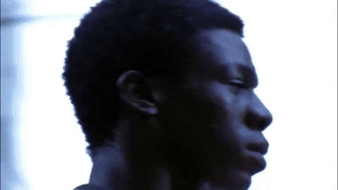 Brazilian-amazon GIFs - Get the best GIF on GIPHY