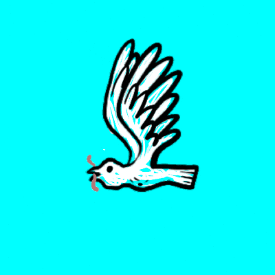 Bird Flying GIF - Find & Share on GIPHY