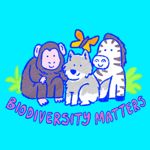 Save Our Wildlife GIFs - Get the best GIF on GIPHY