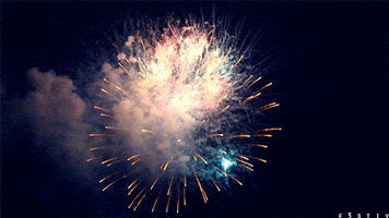 Fireworks Fails GIFs - Find & Share on GIPHY