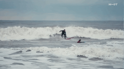 Surfs Up Dude GIFs - Get the best GIF on GIPHY