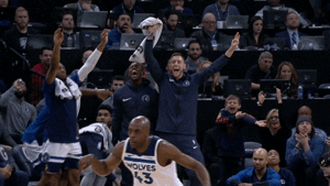Lets Go Timberwolves GIFs - Find & Share on GIPHY