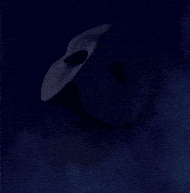 Carlotta Phantom Of The Opera Gif