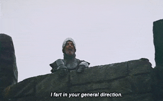 Monty Python And The Holy Grail GIFs - Find & Share on GIPHY