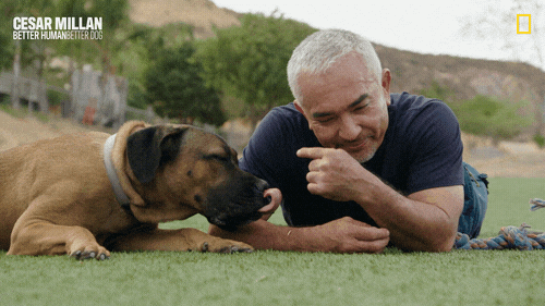Cesare GIFs - Get the best GIF on GIPHY