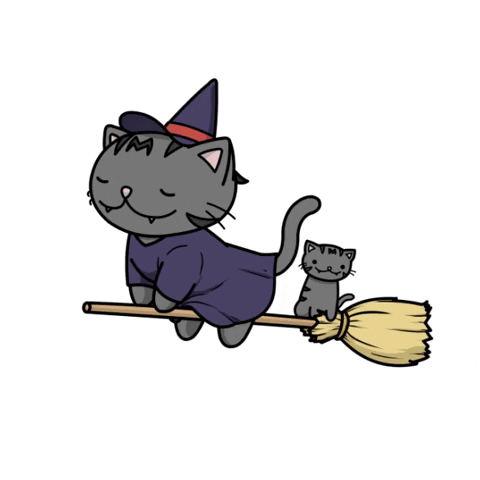 Halloween Cat GIFs - Get the best GIF on GIPHY