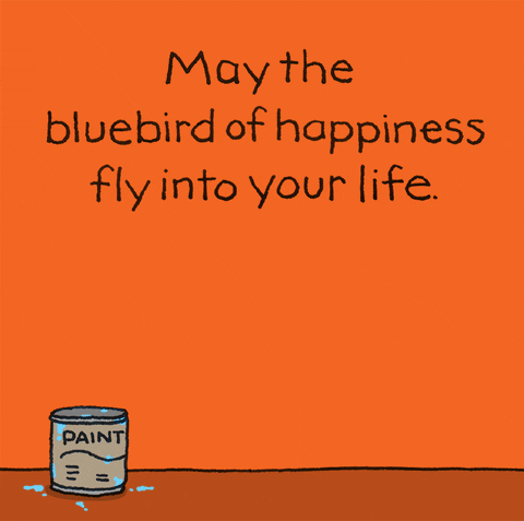 The-bluebird GIFs - Get the best GIF on GIPHY