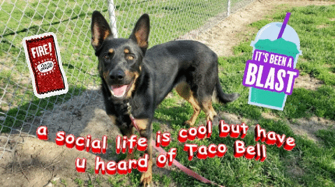 Life-is-cool GIFs - Get the best GIF on GIPHY