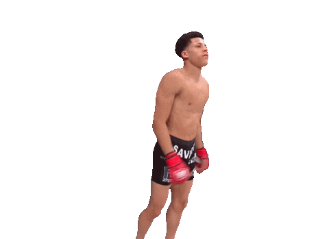 Lets Go Fight Sticker by Mike Kimbel for iOS & Android | GIPHY