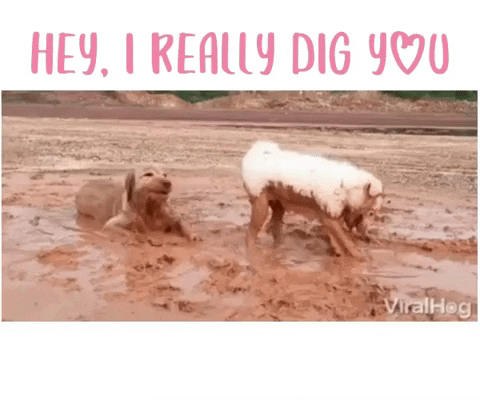 I Dig You GIFs - Get the best GIF on GIPHY