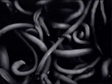 Nine Inch Nails Broken GIFs - Get the best GIF on GIPHY