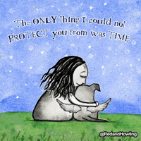 Heartbroken! | Page 2 | MotorhomeFun