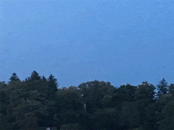 Glowing-tree GIFs - Get the best GIF on GIPHY