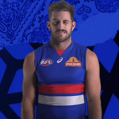 Aussie Rules Football Dogs GIF by Western Bulldogs - Find & Share on GIPHY