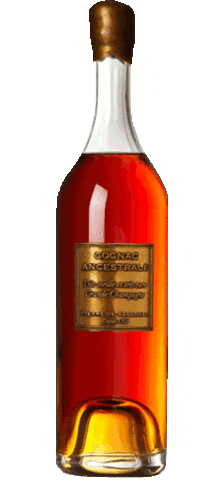 Cognac Only GIFs on GIPHY - Be Animated