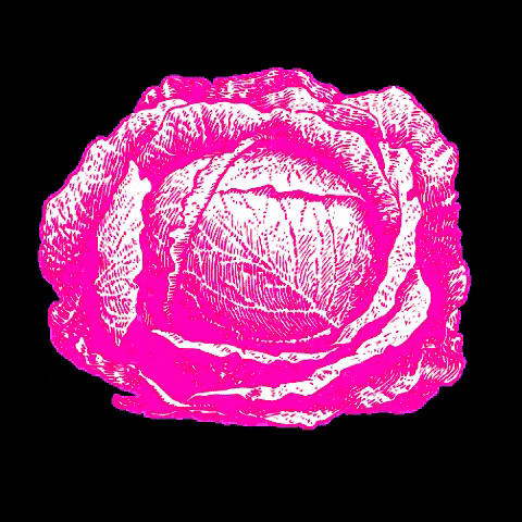 Cabbagepatchbakery GIFs - Get the best GIF on GIPHY