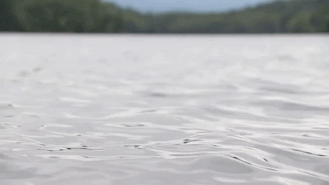 Water Ripples GIF by JC Property Professionals - Find & Share on GIPHY