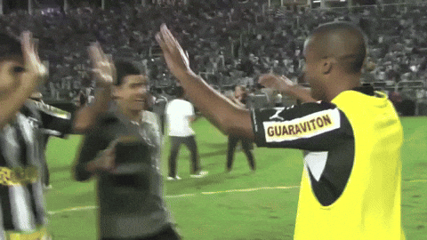 Botafogo Futebol E Regatas GIF by Botafogo - Find & Share on GIPHY