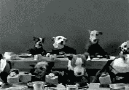 Dogville Comedies