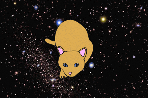 Mighty Morphin Power Rangers Cat GIF by Power Rangers - Find & Share on ...