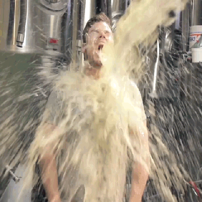 Beer Drinking GIF by lilcozynostril - Find & Share on GIPHY