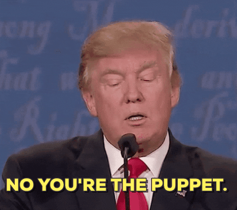 Donald Trump GIF by Election 2016 - Find & Share on GIPHY