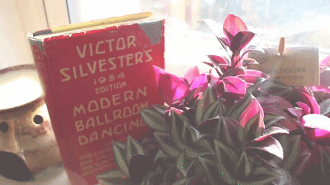 World Book Day Love GIF by esmeanimates - Find & Share on GIPHY
