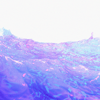 smeccea GIFs on GIPHY - Be Animated