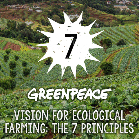 Ecological GIFs - Get the best GIF on GIPHY