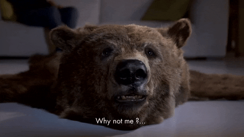 Not Me Gif