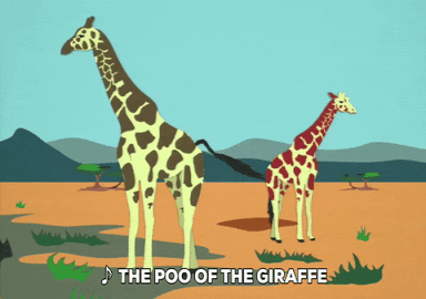 Giraffe Poop Gif