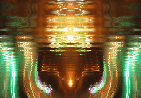 Digitalphotography GIFs - Get the best GIF on GIPHY