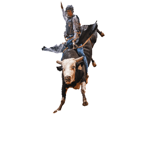 PBR Stockyards Showcase GIFs on GIPHY - Be Animated